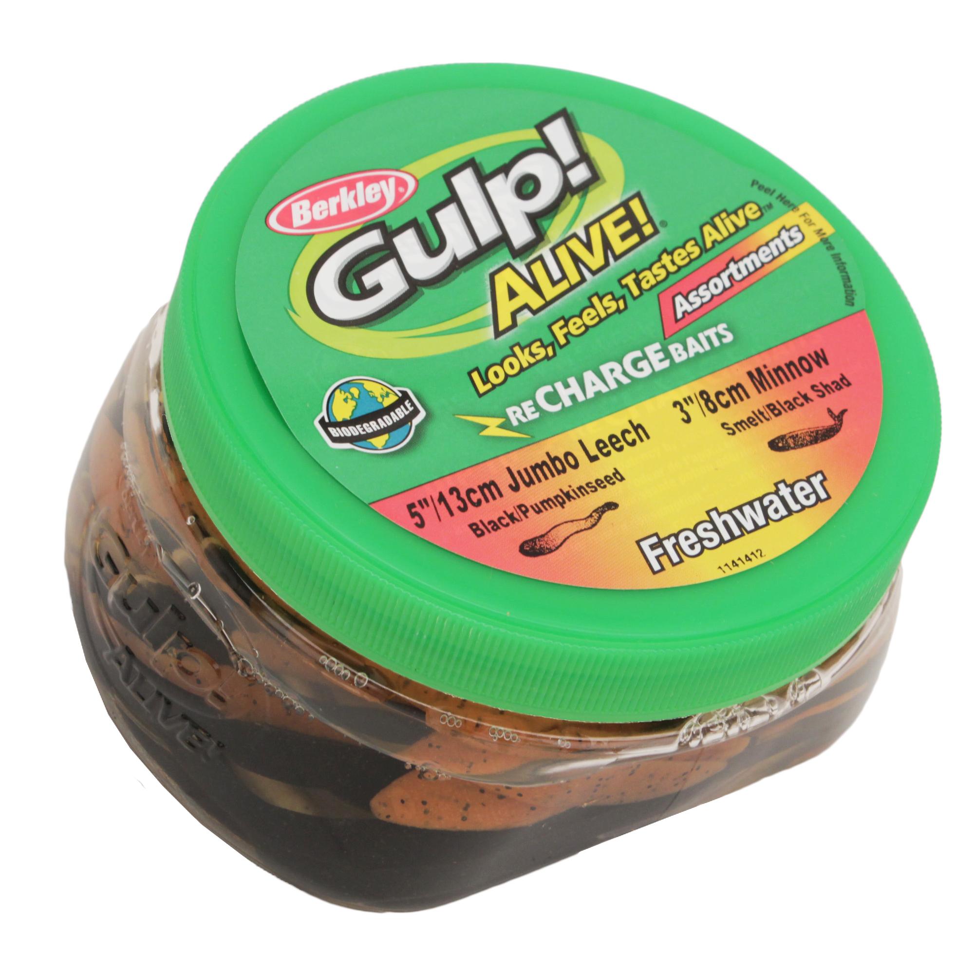 Gulp! Alive! Minnow Jumbo Leech Assortment Soft Bait Various Lengths ...