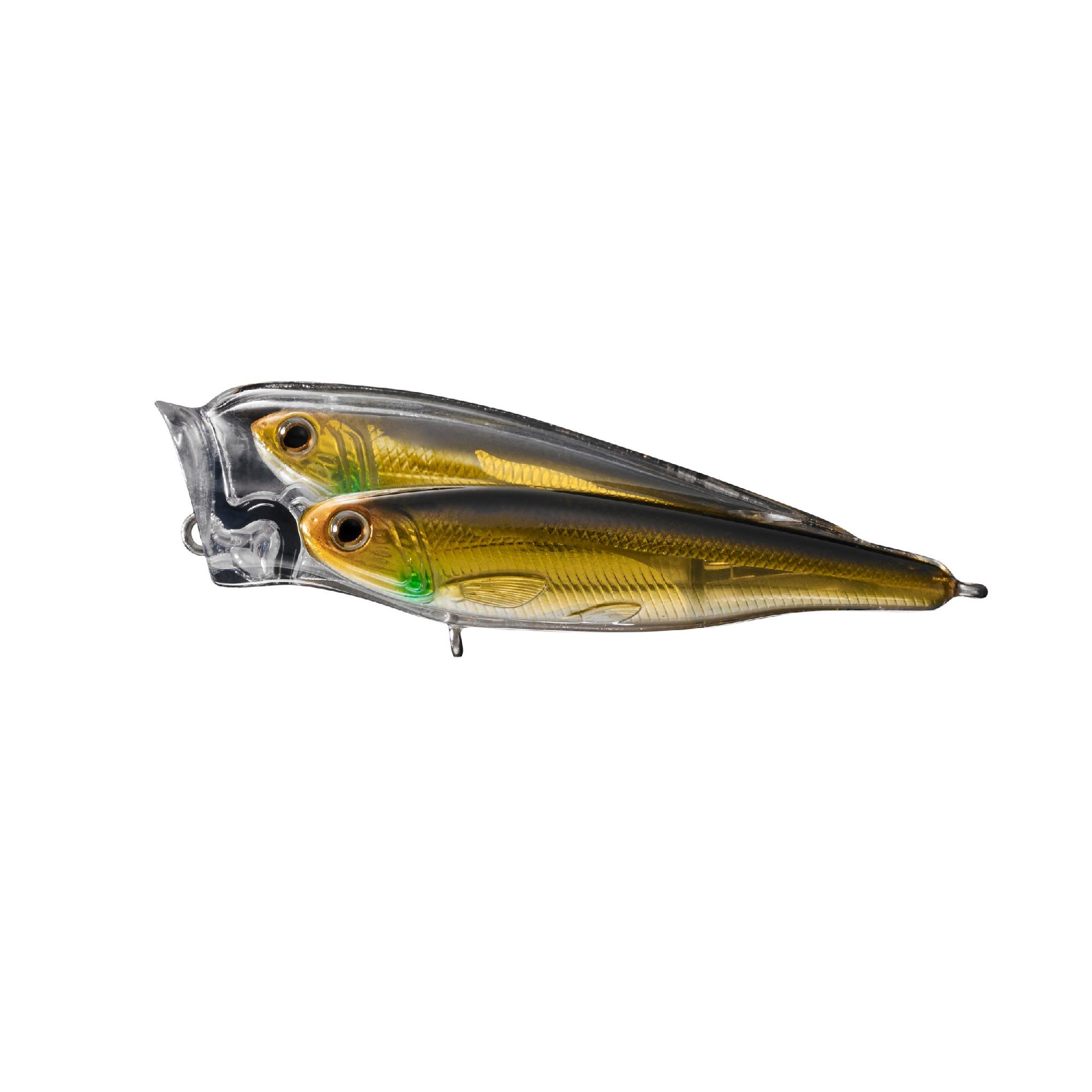 Glass Minnow Juvenile Baitball Popper – Freshwater, 2 1-2″, #6 Hook ...