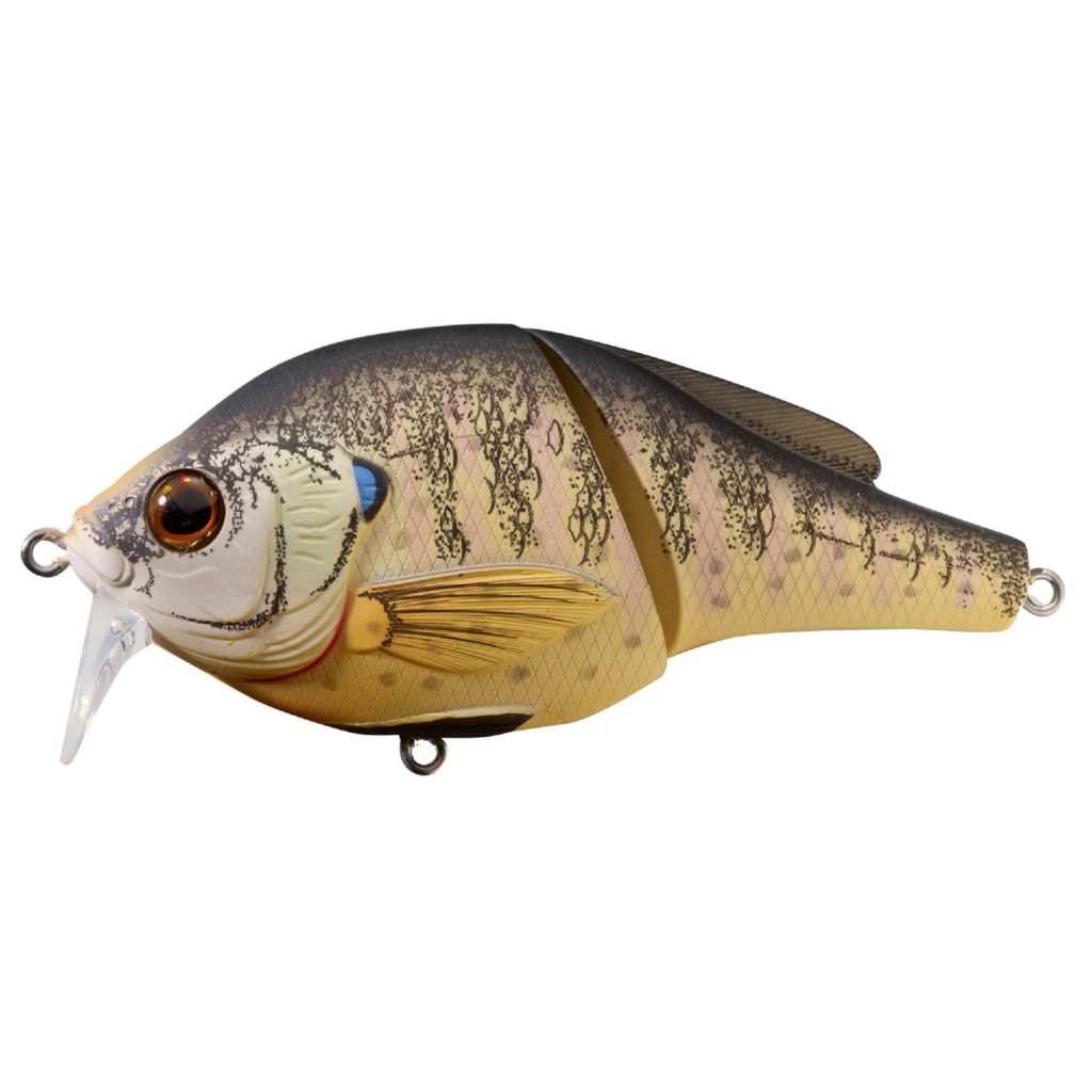 Sunfish Bluegill Wakebait – Freshwater, 3″, #4 Hook, 0′-1′ Depth ...
