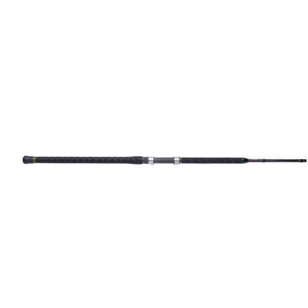 Carnage II Surf Spinning Rod – 11′ 2 Piece Rod, 20-50 lb Line Rate ...