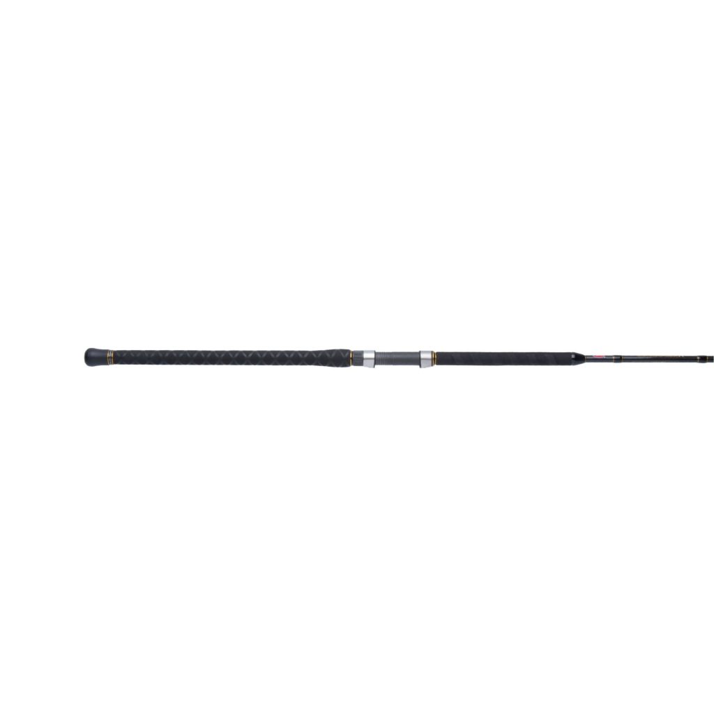 Carnage II Surf Casting Rod – 10′ Length, 2 Piece Rod, 15-30 lb Line ...