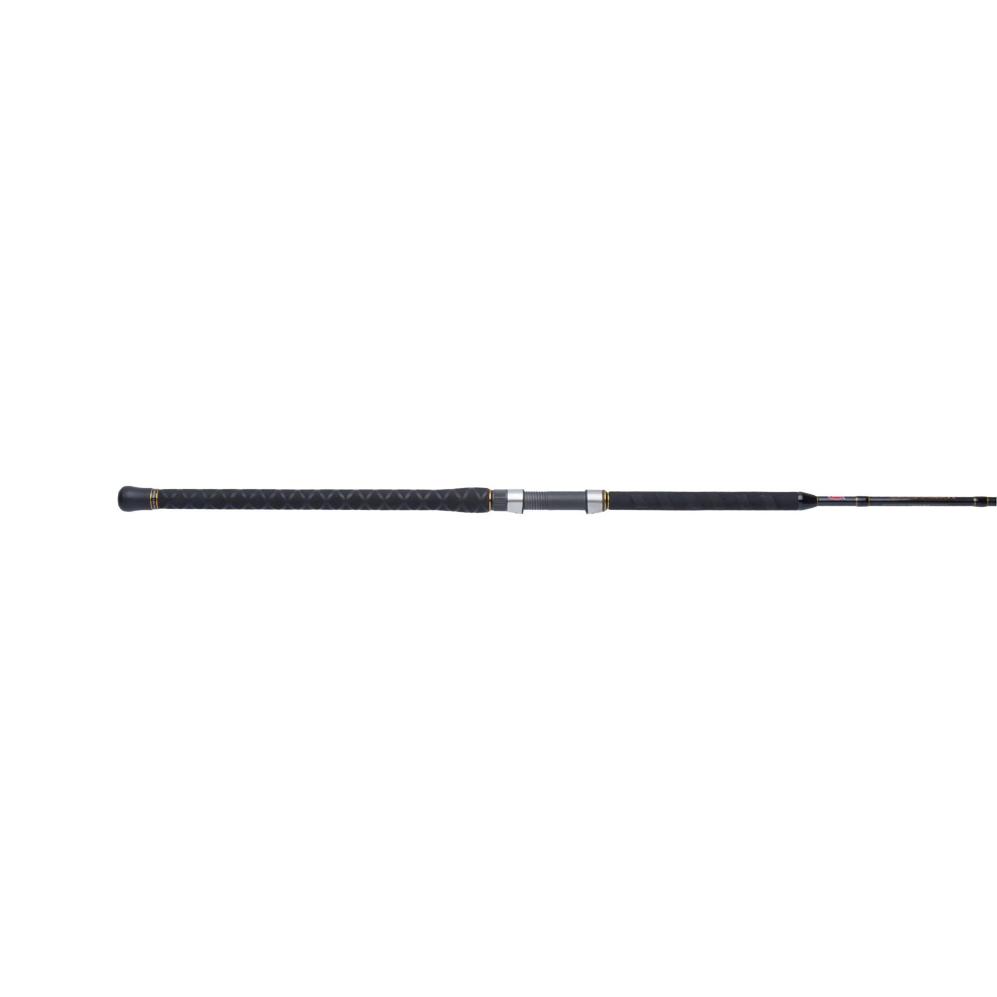 Carnage II Surf Casting Rod – 10′ Length, 2 Piece Rod, 15-30 lb Line ...
