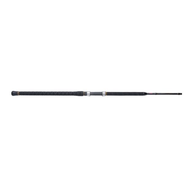 Carnage II Surf Casting Rod – 11′ Length 2pc Rod, 20-50 lb Line Rate ...
