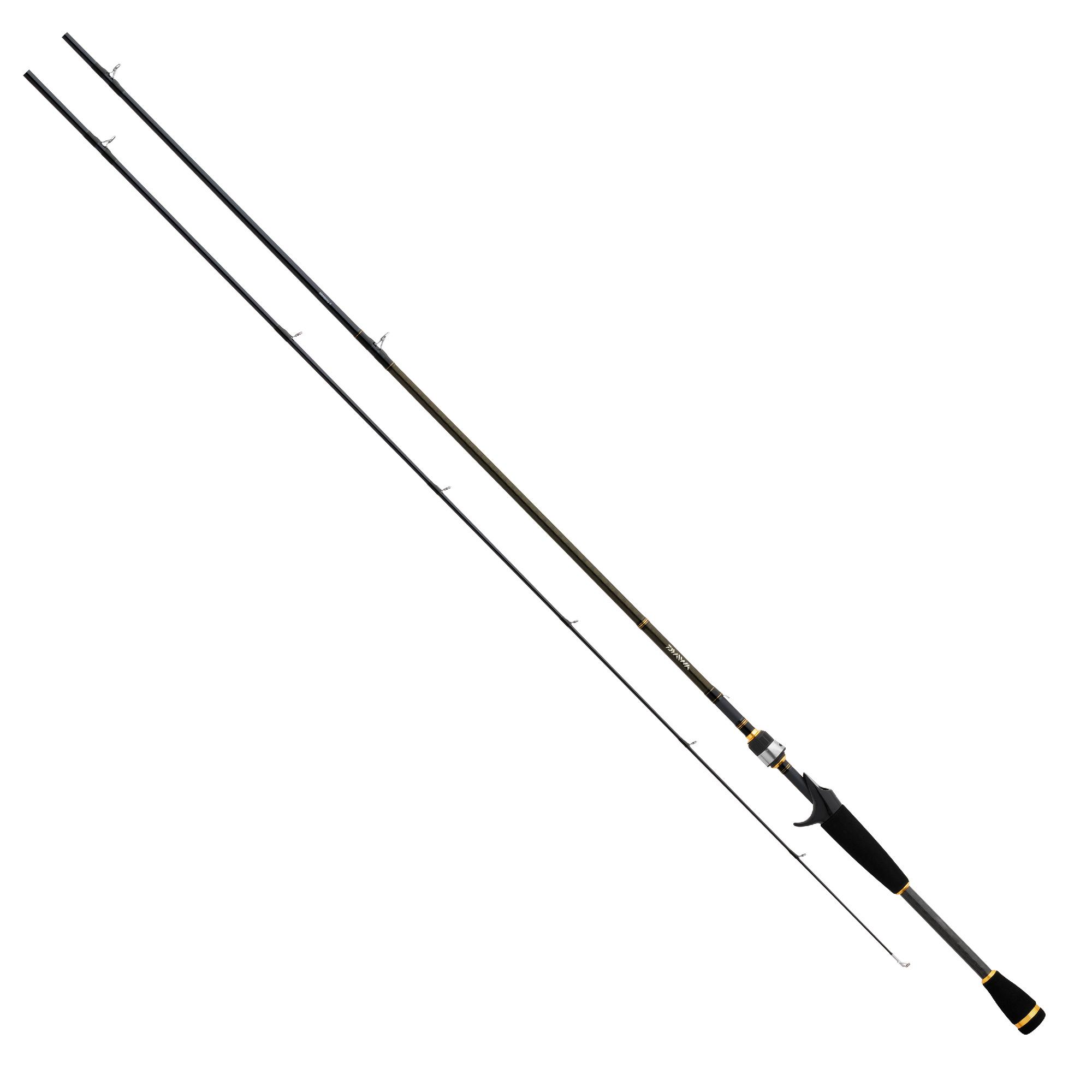 Aird-X Braiding-X Casting Rod – 7’3″ Length, 1 Piece Rod, Medium-Heavy ...