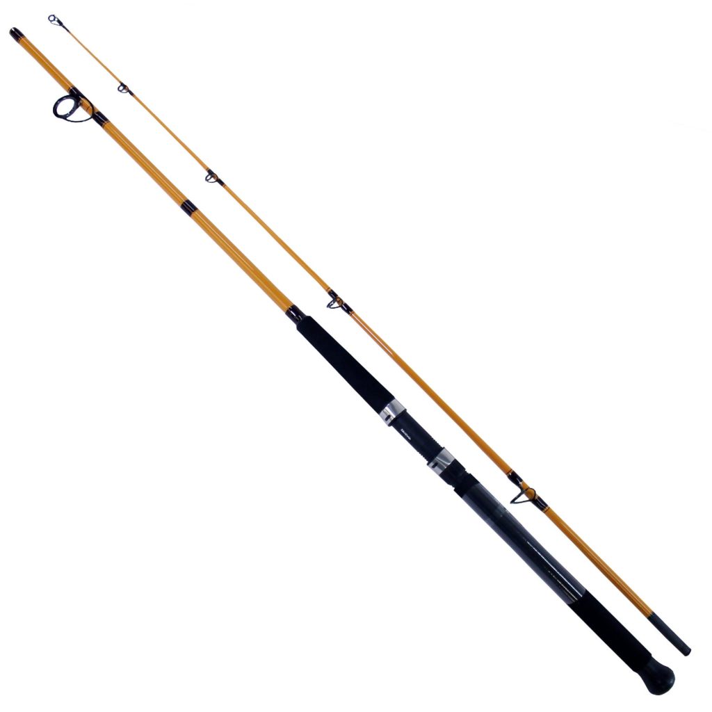 FT Surf Spinning Rod – 8′ Length, 2 Piece Rod, 8-17 lb Line Rating ...