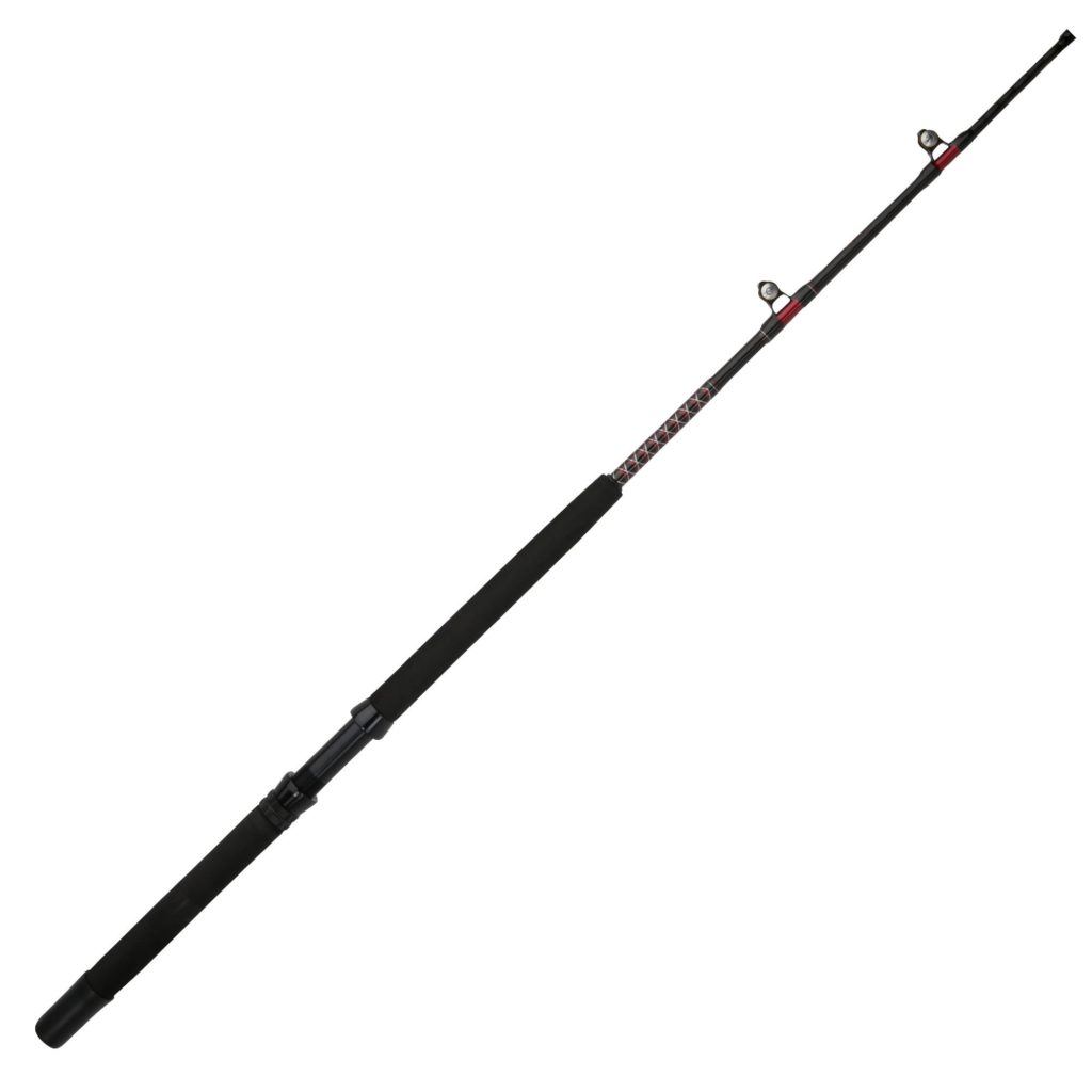 Bigwater Stand Up Casting Rod – 6′ Length, 1 Piece Rod, 30-80 lb Line ...