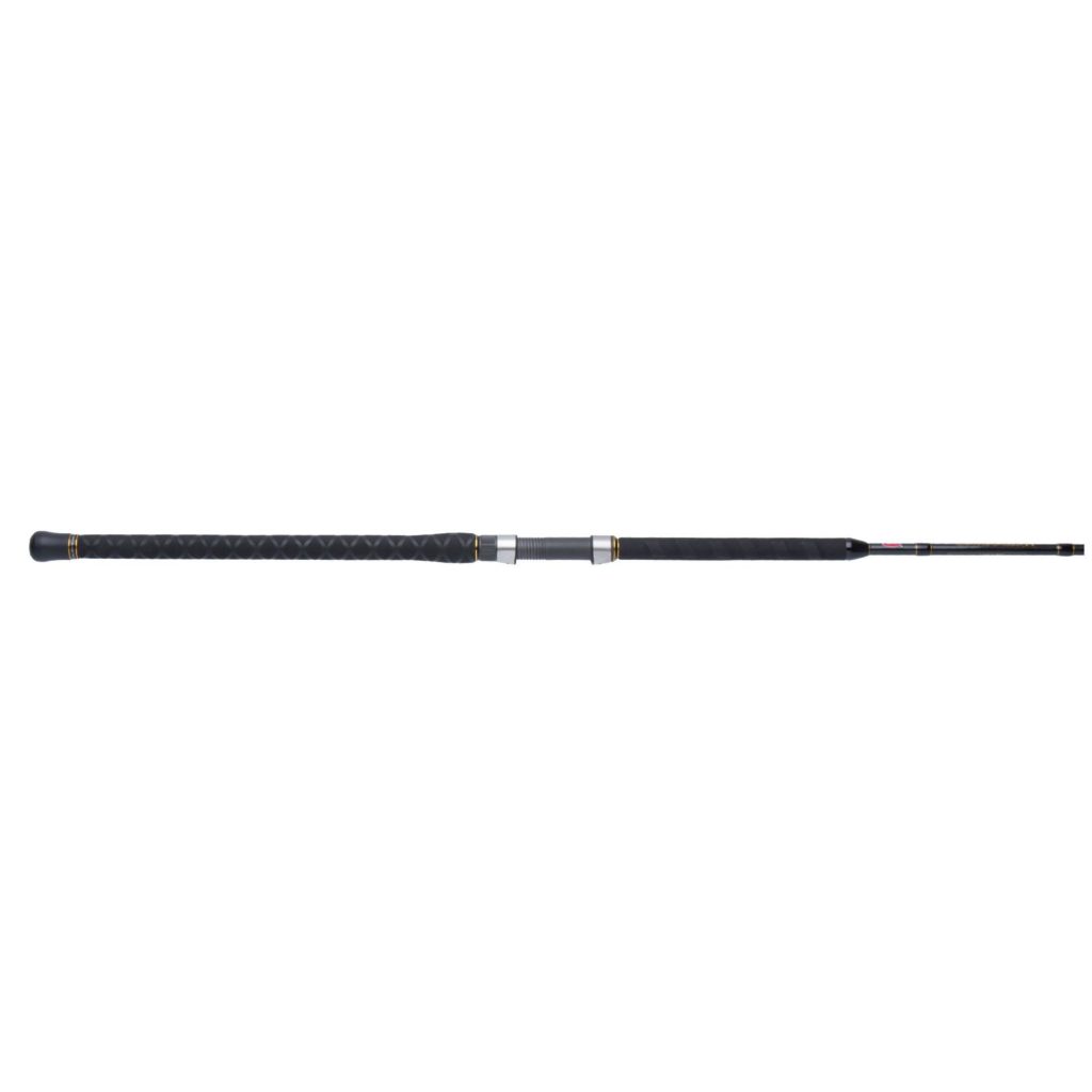 Carnage II Surf Spinning Rod – 10′ Length, 2 Piece Rod, 15-30 lb Line ...