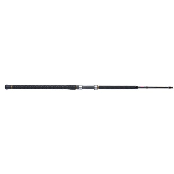 Carnage II Surf Spinning Rod – 10′ Length, 2 Piece Rod, 15-30 lb Line ...