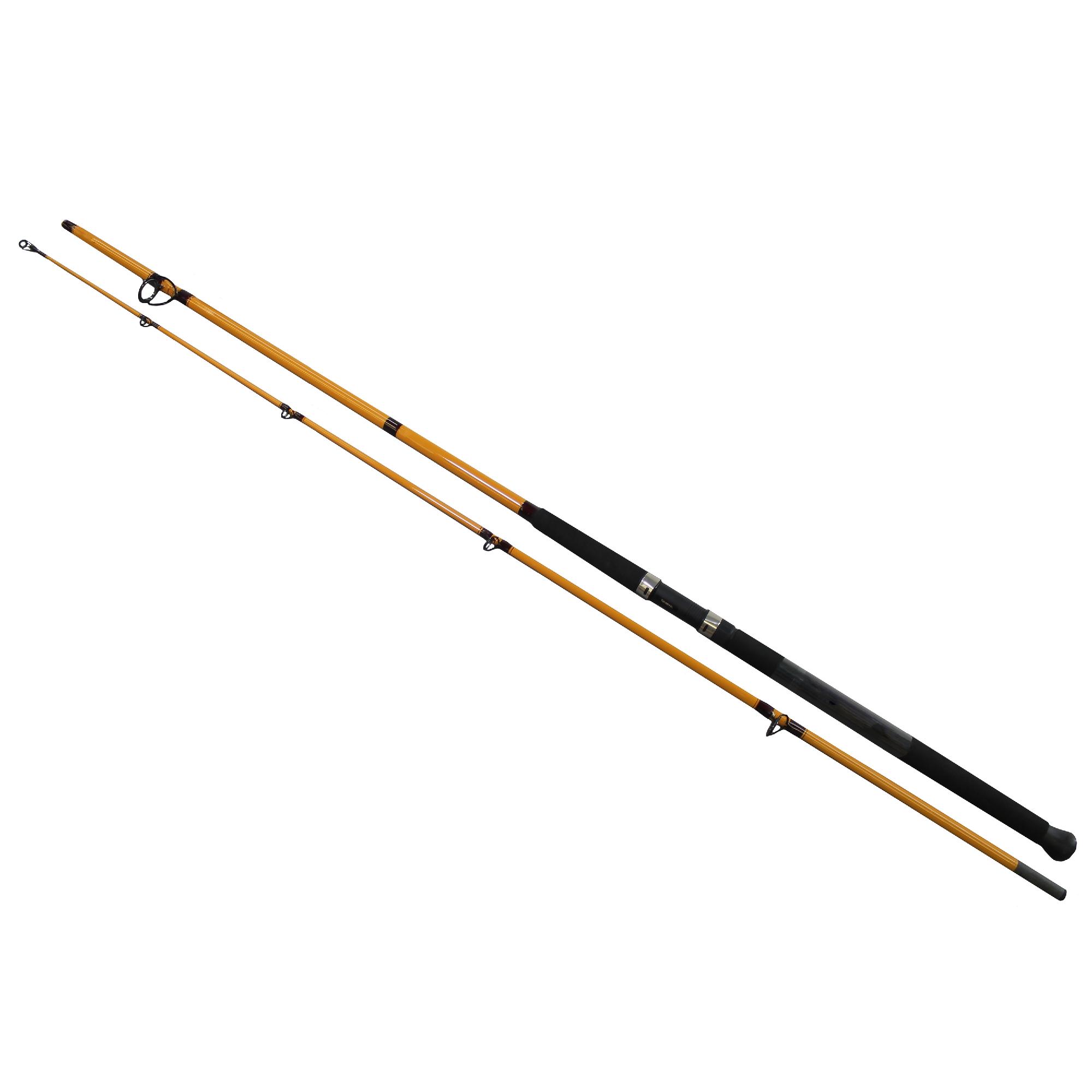 FT Surf Spinning Rod – 10′ Length, 2 Piece Rod, 10-20 lb Line Rating ...